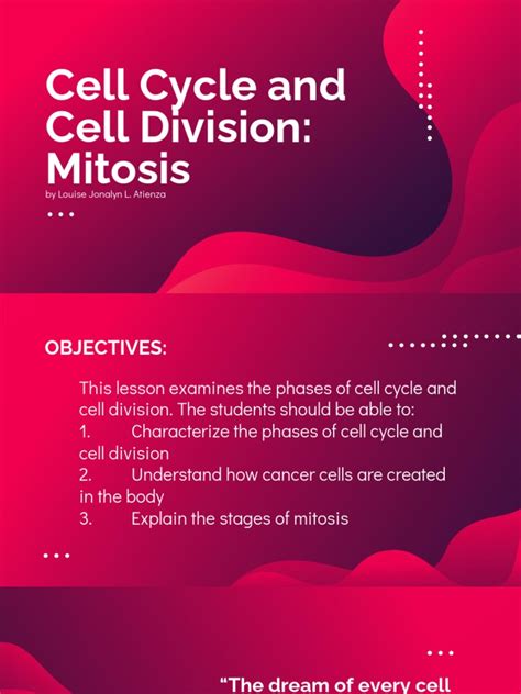 4 Cell Division Mitosis Pdf Mitosis Cell Cycle