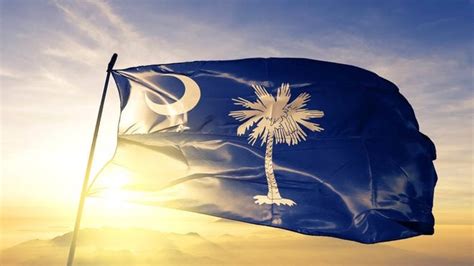 Why Are Flags At Half Staff In Sc What To Know About July 7 Order
