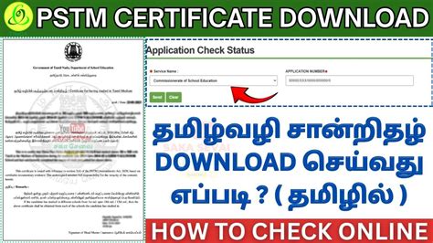 How To Download Pstm Certificate Online In Tamil 2025 😍 Pstm Certificate Sakasevai Pstm