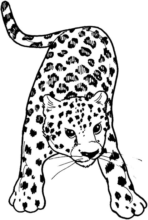 Dibujos De Leopardos Para Imprimir Dibujos Para Imprimir Y Colorear