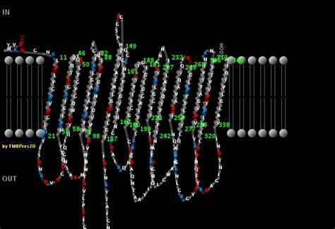 Online Analysis Tools Protein Secondary Structure