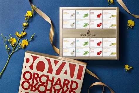 찻잎·티백·분말 스페셜에디션16 프리미엄 차 선물세트 티tea티백 3년연속 세계미각대회 수상 오늘의집 쇼핑