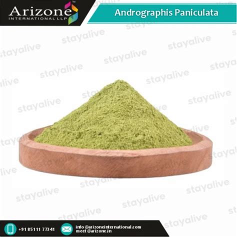 Green Andrographis Paniculata Kalmegh Packaging Type Pp Bag Packaging Size 25kgs At ₹ 45