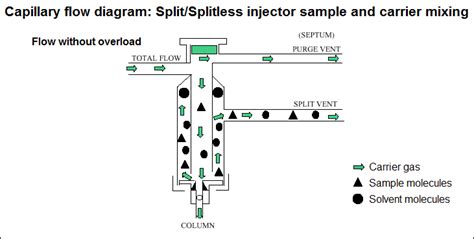 Training Gc Injection