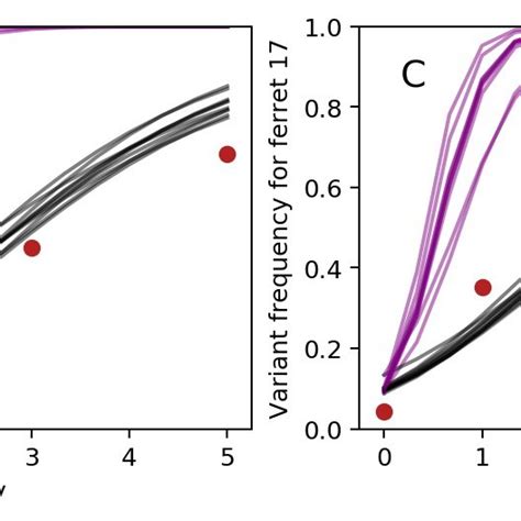 Deterministic Model Simulations Grey Lines And Observed Data Points Download Scientific