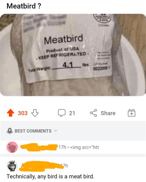 Have You Ever Seen Non Meat Bird Rtechnicallythetruth
