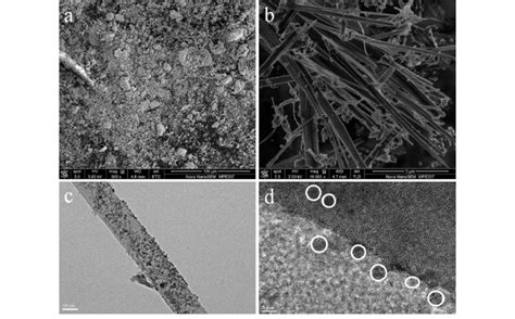 SEM A B And TEM C D Images Of Fe 2 O 3 SiO 2 6 Download Scientific Diagram