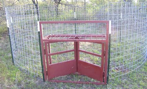 High Quality Custom Hog Traps By Boss Hawg Cross Plains Texas
