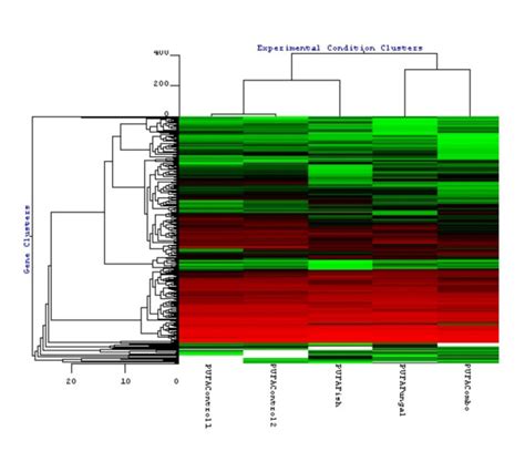 hierarchical clustering of significant probes left probe clusters