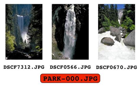 Mac Os X Automation Automator