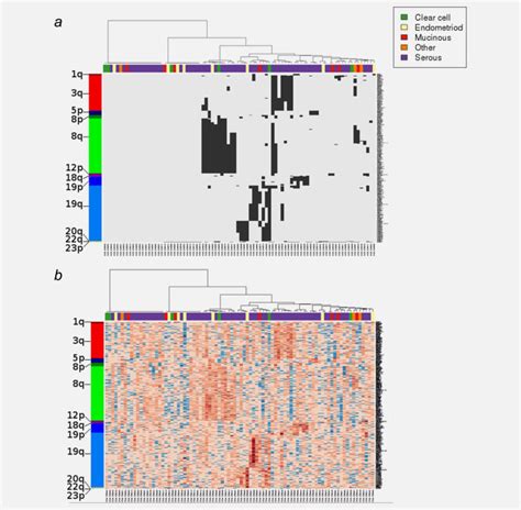 Integration Of Genomic Transcriptomic And Histological Data Download Scientific Diagram