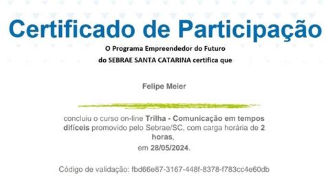 🎓 Concluí Mais Um Curso Rápido Felipe Meier
