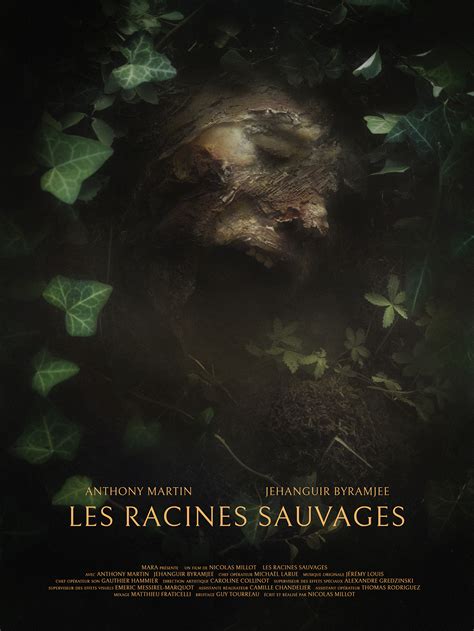 Les Racines Sauvages Nicolas Millot