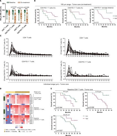 Frontiers Spatial Distribution Of Tumor Infiltrating T Cells Indicated Immune Response Status