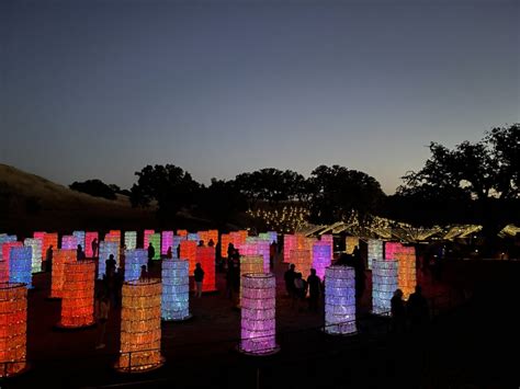 Your Guide To Sensorio Paso Robles Field Of Lights