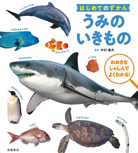 『はじめてのずかん うみのいきもの』は、見て読んで、親子で楽しむ水族館。 株式会社 高橋書店のプレスリリース