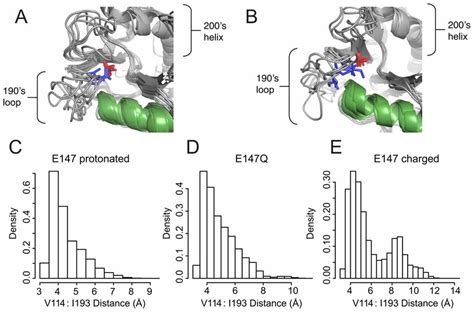 Molecular Dynamics Simulations Show Qualitative And Quantitative Download Scientific Diagram