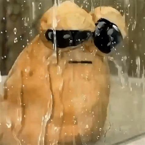 슬픈 달팽이 인형 애착 쿠션 친구선물 에이블리