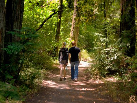 The 20 Best Things To Do In Calistoga Ca