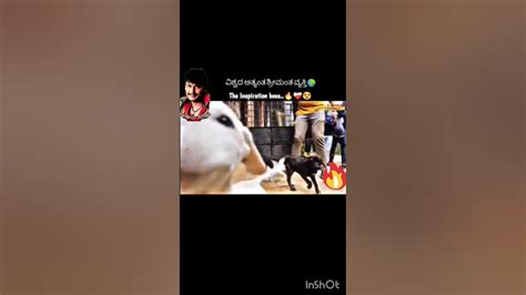 ವಿಶ್ವದ ಅತ್ಯಂತ ಶ್ರೀಮಂತ ವ್ಯಕ್ತಿ ನಮ್ ಡಿ ಬಾಸ್ Youtube