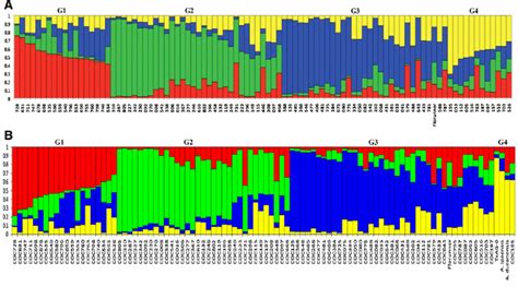 Population Structure Assessed Using The Structure Program A Results Download Scientific