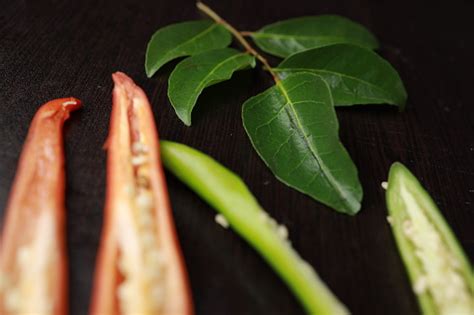 빨간색과 녹색 칠리 페퍼는 나무 어두운 보드에 길이 를 슬라이스 가루로 빻은에 대한 스톡 사진 및 기타 이미지 가루로 빻은 건강한 생활방식 그린칠리페퍼 Istock