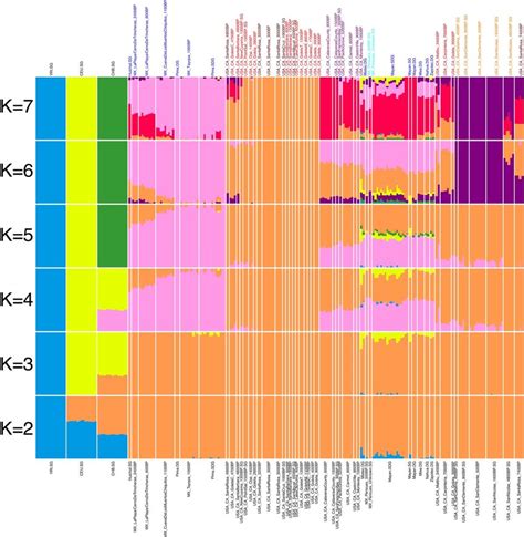 Admixture Plot At Different K Values Purple Central California