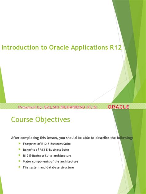 Chapter 3 Introduction To Oracle Applications R12 Pdf Supply Chain Oracle Corporation