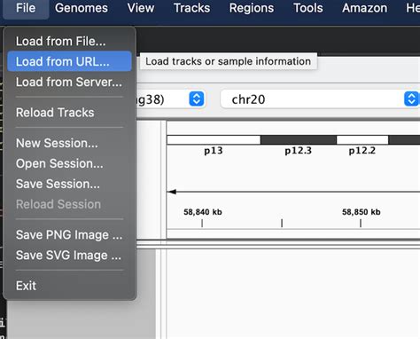 A Sightseeing Tour Of Sequence Data Oxford Statistical Genomics Summer Babe