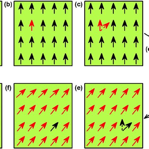 Schematically Drawing Of The Phase Transition Process When The