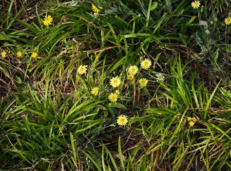 Premium Photo Outdoor Concept Architectural Visualization 3d