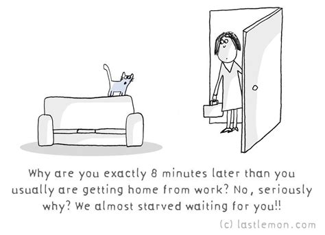 Questions That Cats Ask We Love Cats And Kittens