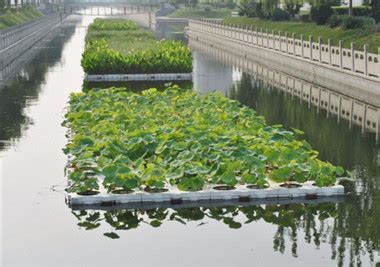 原位生态修复技术方案 安徽废水处理 废气处理 粉尘处理 水处理设备厂家 合肥市科柏盛环保科技有限公司