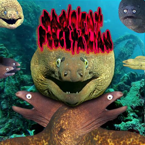 Slowly Devoured By A Toothless Fish Malevolent Pescetarian Cultus