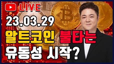 230329 차트무당의 더픽 알트코인 불타는 유동성 시작 Youtube