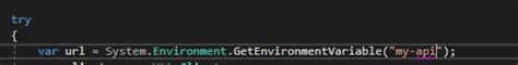 Amazon Web Services How Do I Set Fetch Environment Variable In Aws Lambda Project In C