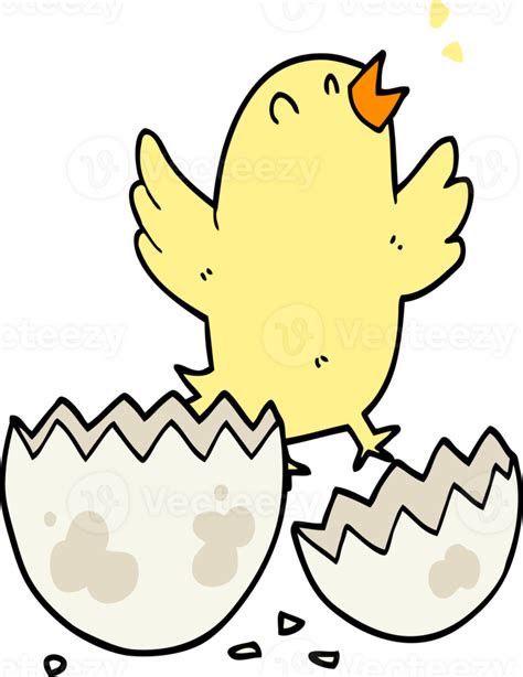 Cartoon Bird Hatching From Egg 44921639 Png