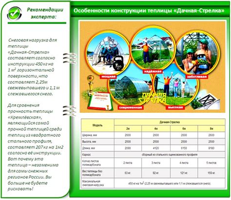 Теплица «Дачная-Стрелка» - характеристики, виды, сборка своими руками
