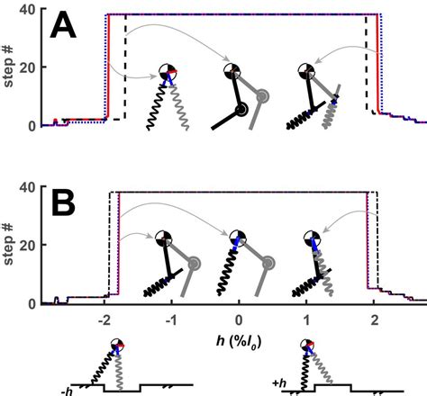 The Step Numbers Steps Achieved During Walking After The Perturbed