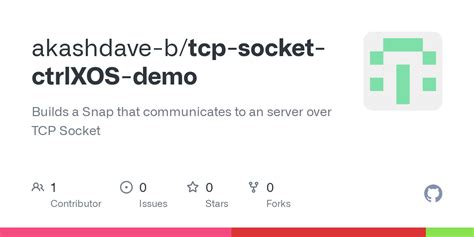 Github Akashdave Btcp Socket Ctrlxos Demo Builds A Snap That Communicates To An Server Over