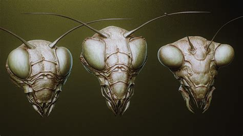 Bernhard Van Der Horst Rs Heads02 Alt