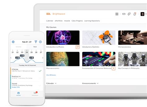Top Types Of Lms Learning Management Systems In 2025