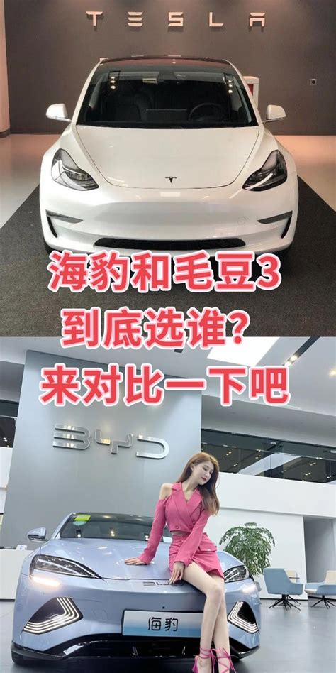 特斯拉毛豆3和比亚迪海豹到底选哪一个? 知乎 特斯拉毛豆3和比亚迪海豹到底选哪一个? 知乎