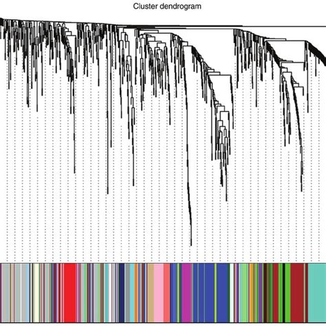 clustering dendrogram and modules identified by wgcna mirnas