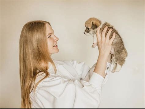 Щенки корги