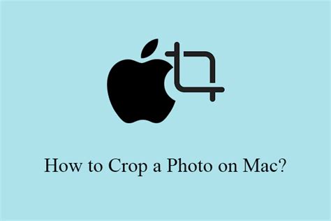 How To Crop A Photo On Mac By Photos Preview Apps