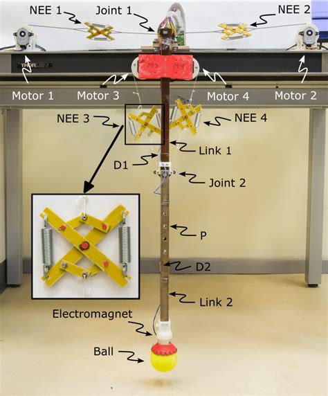 Experimental Setup Of The Two Link Planar Robot With Variable Stiffness Download Scientific