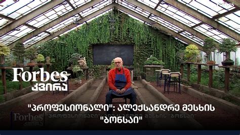 პროფესიონალი ალექსანდრე მესხის ბონსაი Youtube