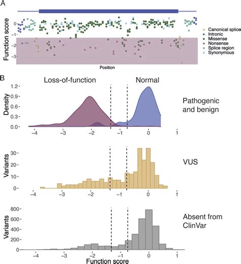 Sge Of Brca1 Improves Clinical Variant Interpretation Sge Was Used To Download Scientific